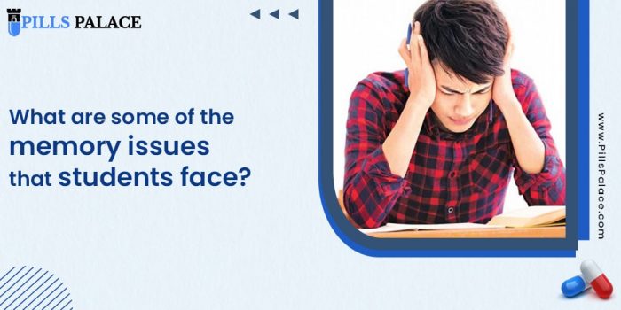 What are some of the memory issues that students face?